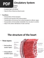 Cardiovascular System | PDF | Atrium (Heart) | Heart
