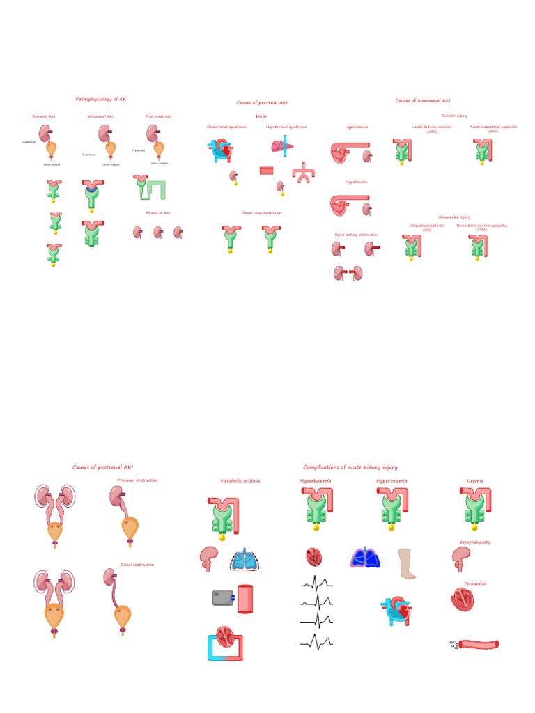 RENAL-06 AKI (Illustrations - Template) | PDF | Internal Medicine ...