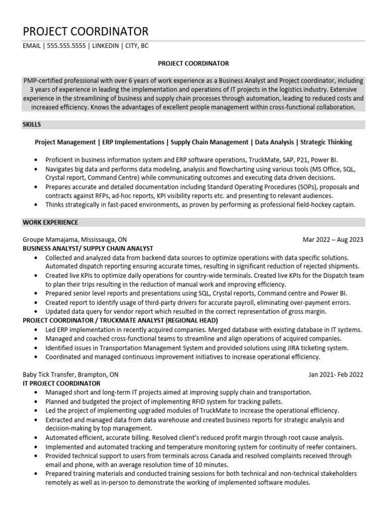 Experienced Project Coordinator in IT | PDF | Enterprise Resource ...