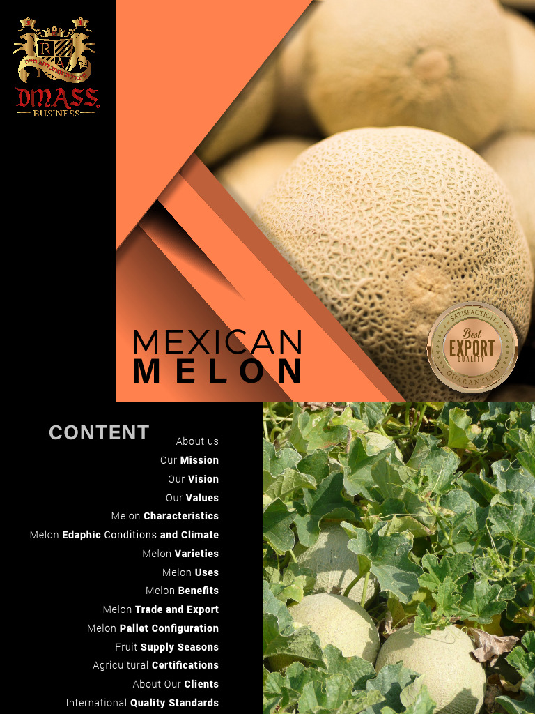 FT Melon SND | PDF | Food And Drug Administration | Orange (Fruit)