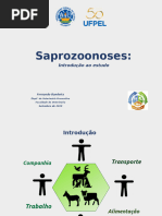 Sintomas da Tungíase e Cuidados | PDF | Doenças e distúrbios | Remédio