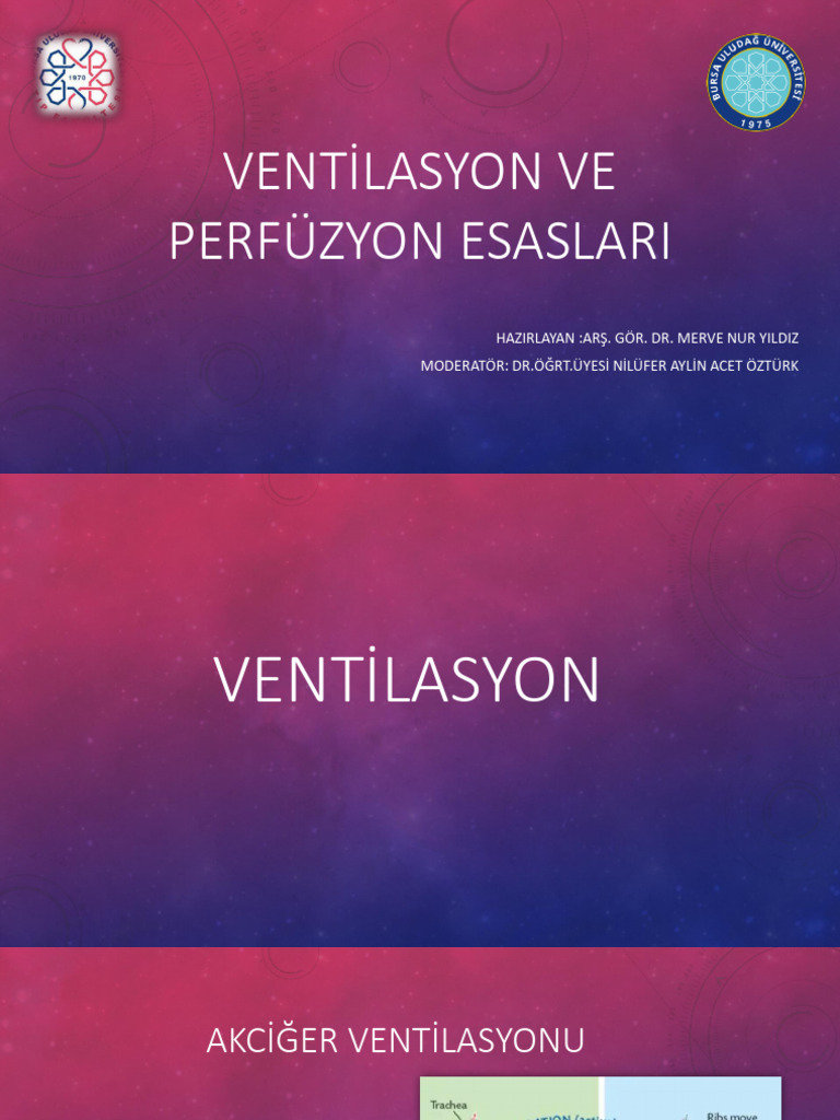 Ventilasyon Ve Perfuzyon Esaslari PDF 1 | PDF
