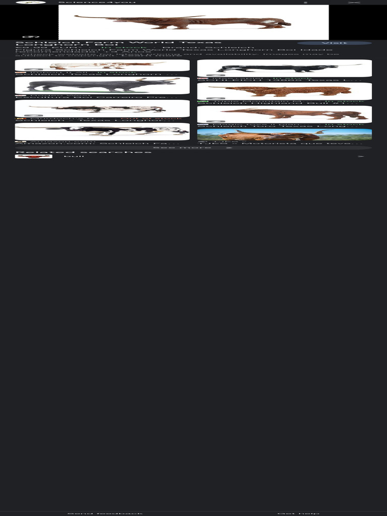 Boi - Google Search | PDF