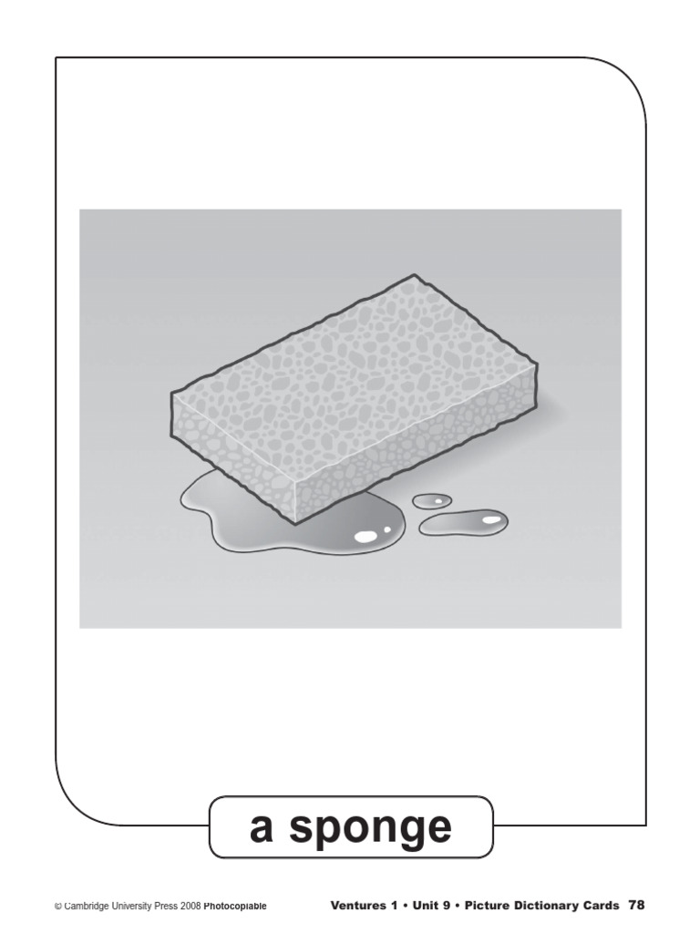 Picture Dictionary Cards - Unit 9 | PDF