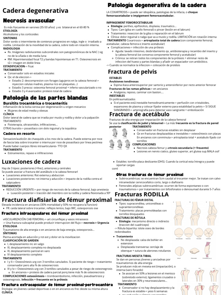Mmii | PDF | Rodilla | Pie