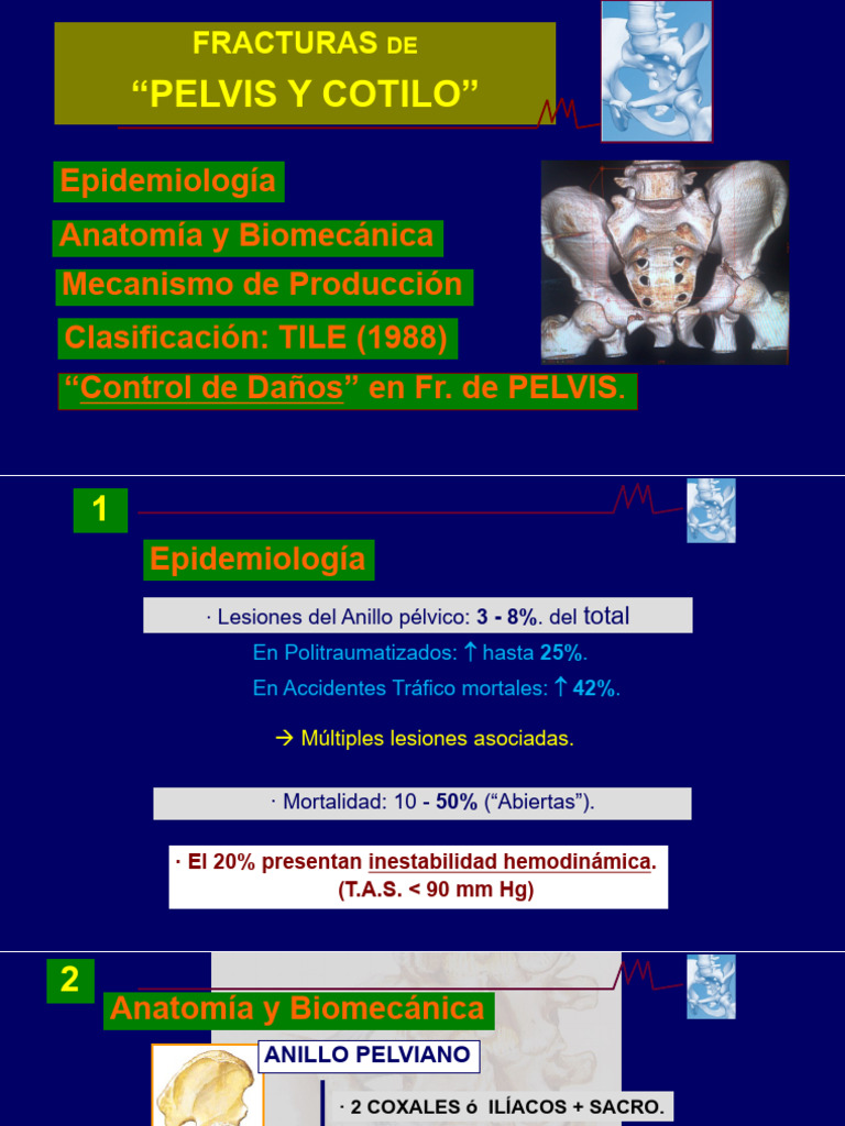 FR Pelvis y Acetã Bulo 24-25 | PDF | Pelvis | Enfermedades y trastornos