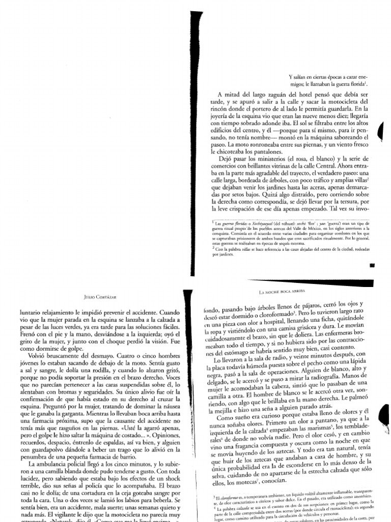 La Noche Boca Arriba - J. Cortázar | PDF