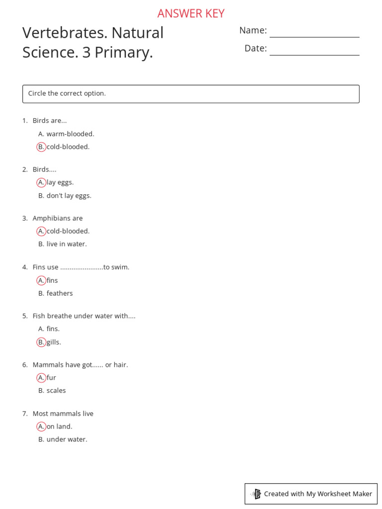 vertebrates-types-answer-03 EP | PDF
