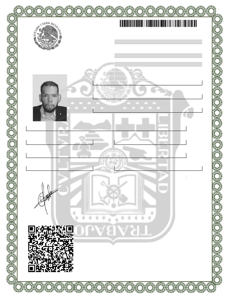 Titulo Electronico U-1 | PDF