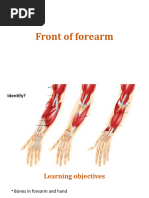 Kaplan Anatomy Coloring Book | PDF | Foot | Human Leg