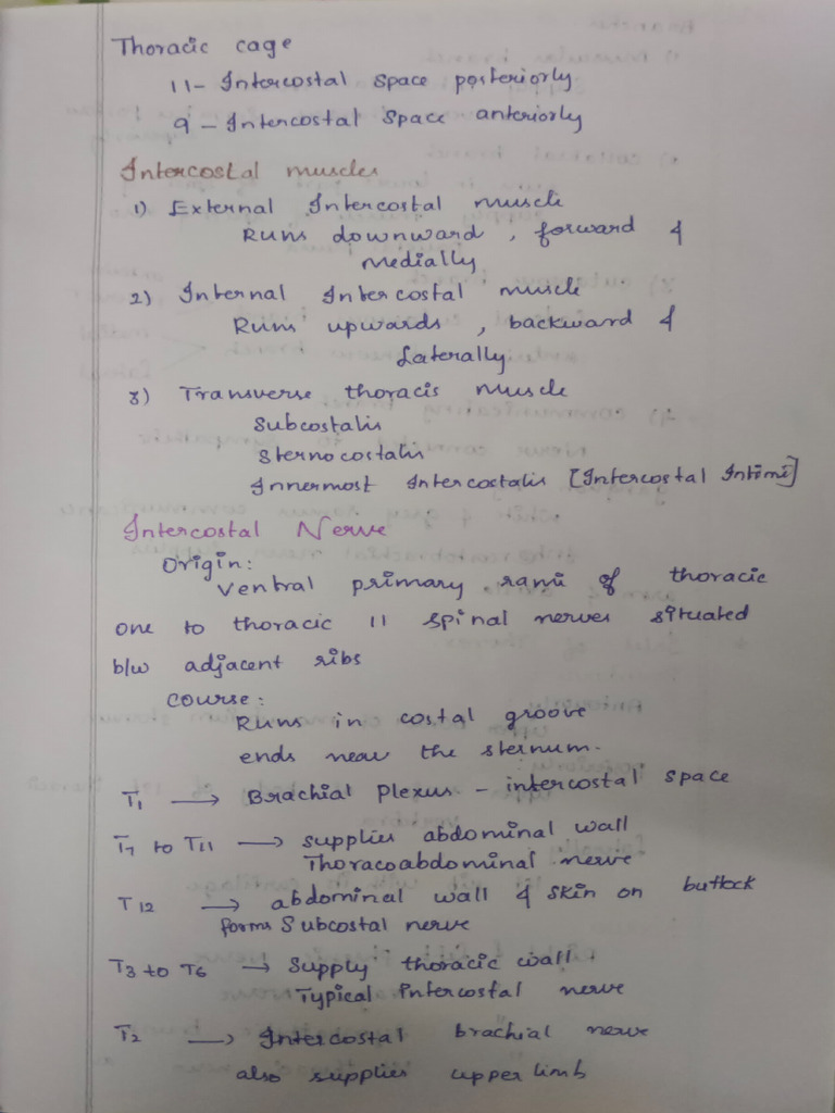 Thorax Notes | PDF
