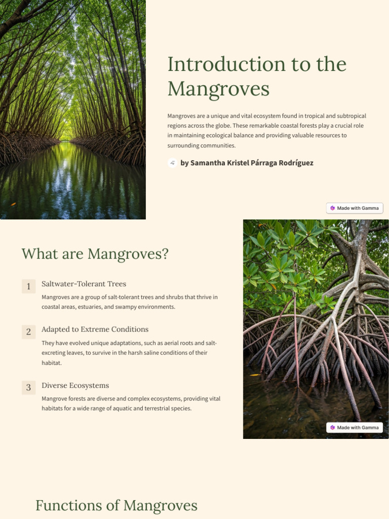 Understanding Mangrove Ecosystems | PDF | Mangrove | Habitat