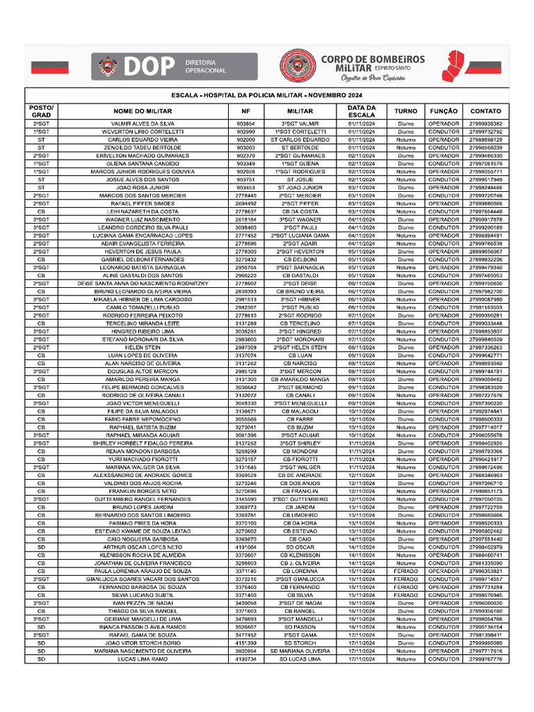 Escala HPM - Nov24 | PDF