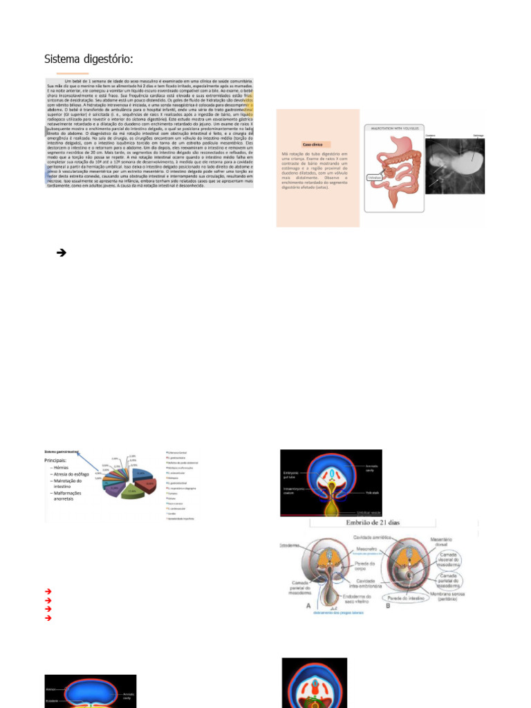 Embriologia Do Sistema Digestorio Completo | PDF | Trato ...