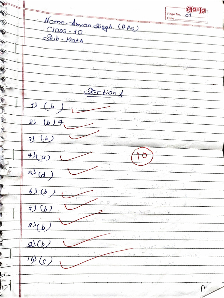 Topper Copy (Math) | PDF