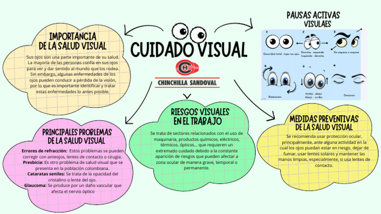 Cuidado Visual | PDF | Ojo humano | Lentes
