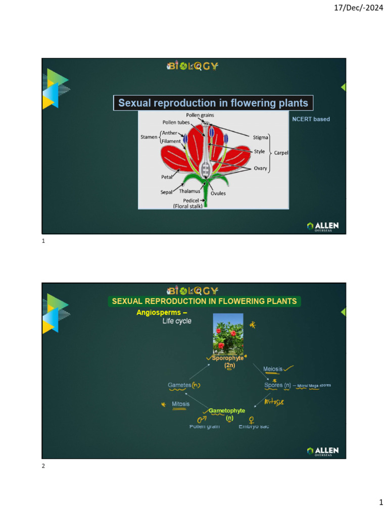 Angiosperm Reproduction Guide | PDF | Flowers | Pollination