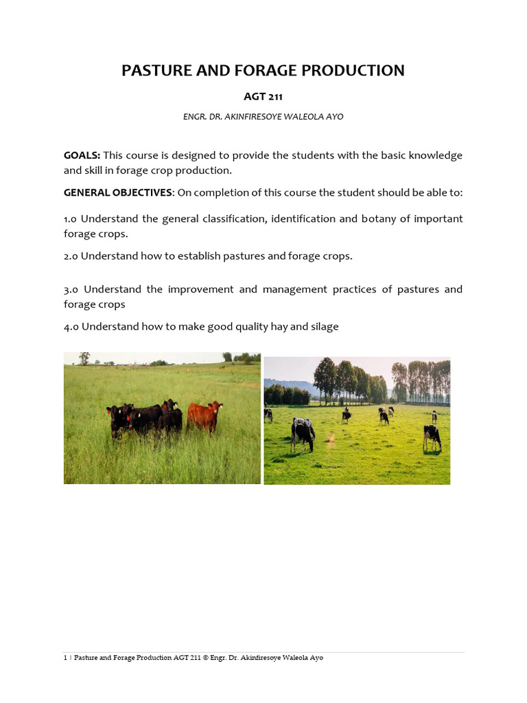 Forage Crop Production and Management | PDF | Hay | Maize