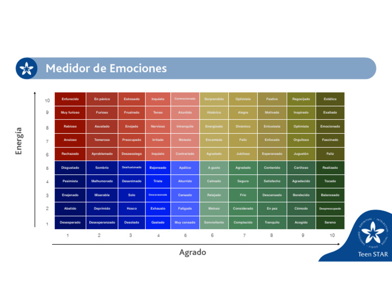 Medidor Emocional | PDF