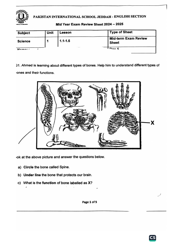 Science Review Day One 24 25 | PDF