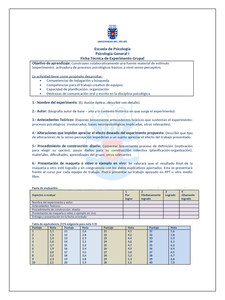 Pauta de Evaluacion Experimento | PDF