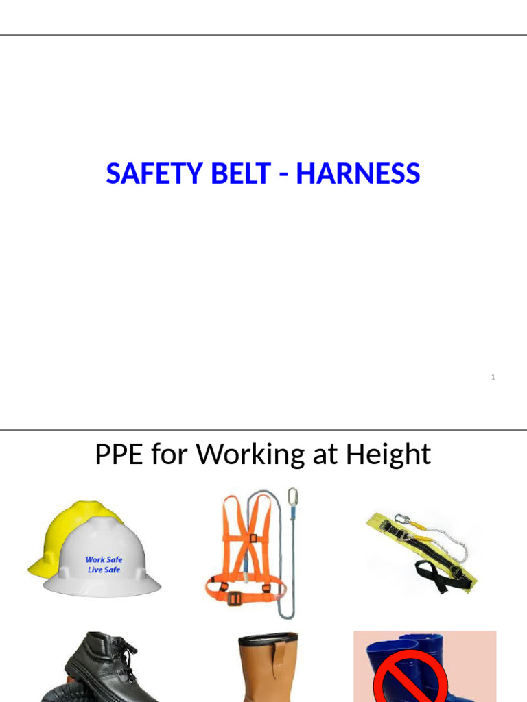 Safety Belt - Harness | PDF