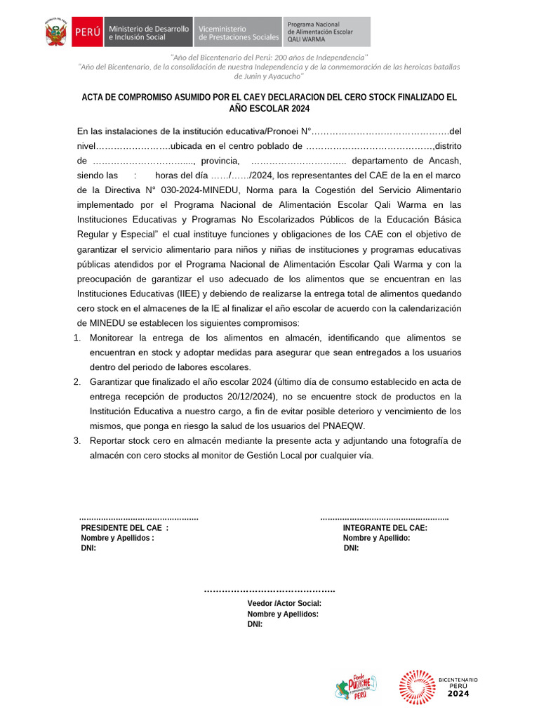 Acta Cero Stock 2024 415 Modelo | PDF