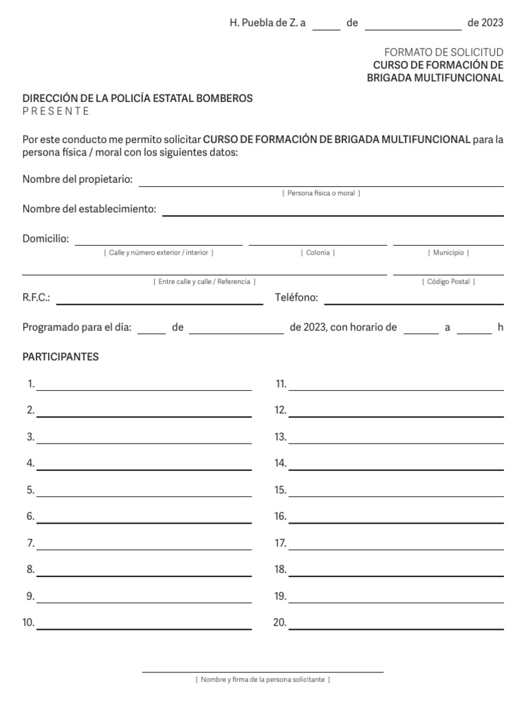 Brigada Multifuncional | PDF