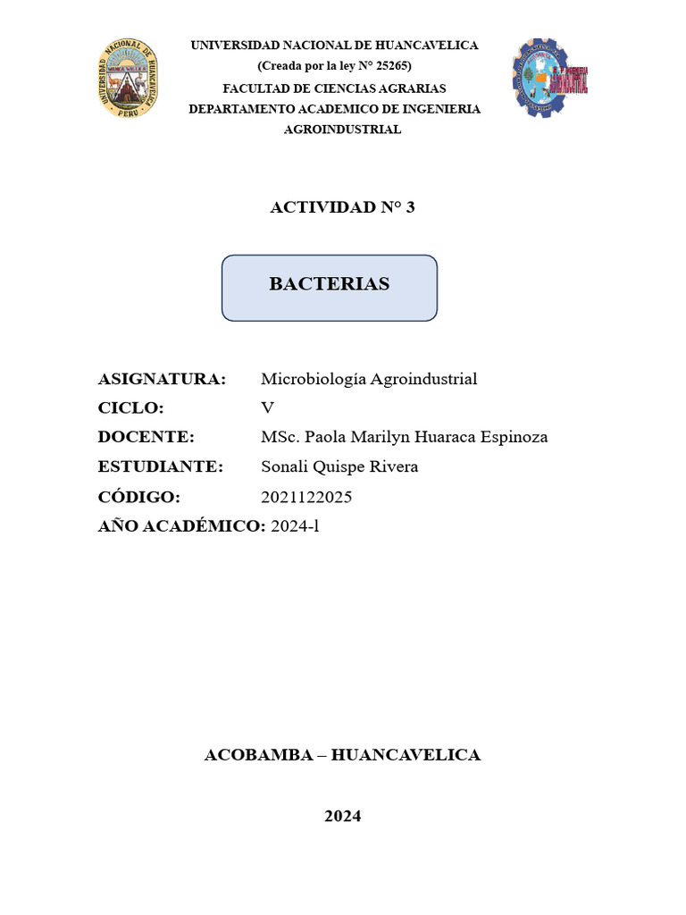 Actividad N3 Mic | PDF