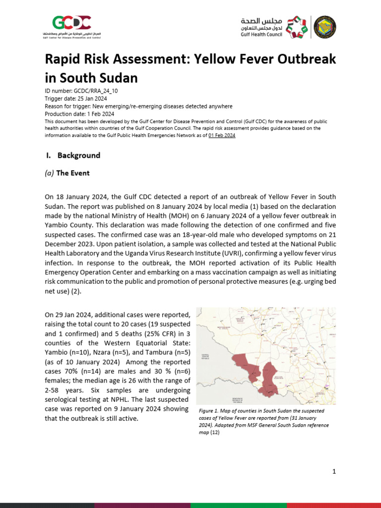 Yellow Fever Outbreak Risk in South Sudan | PDF | Yellow Fever | Public ...