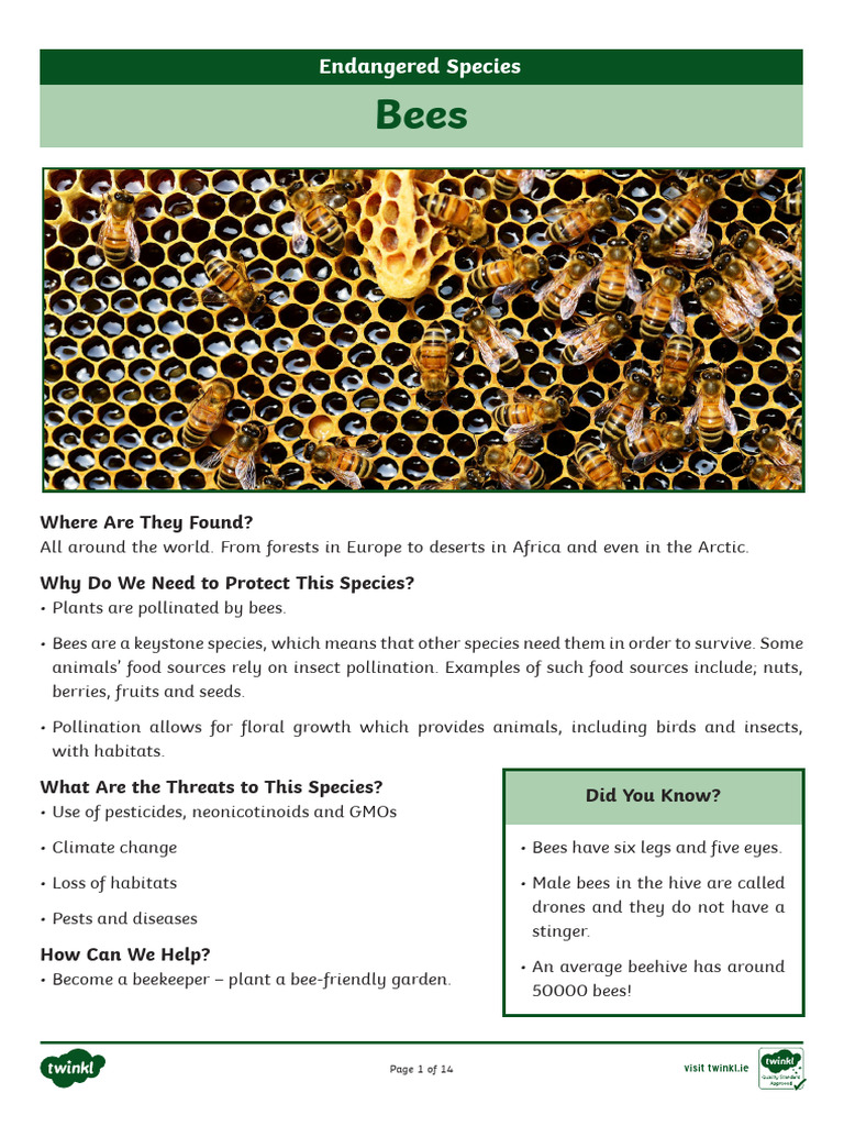 Roi2 S 74 Earth Day 2019 Endangered Species Fact File - Ver - 2 | PDF ...