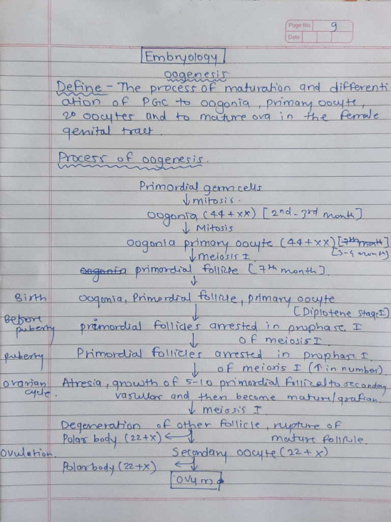 Anat Practical Embryology | PDF