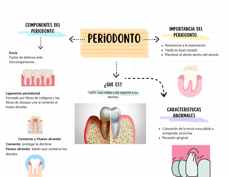 PERIODONTO AH 4A | PDF