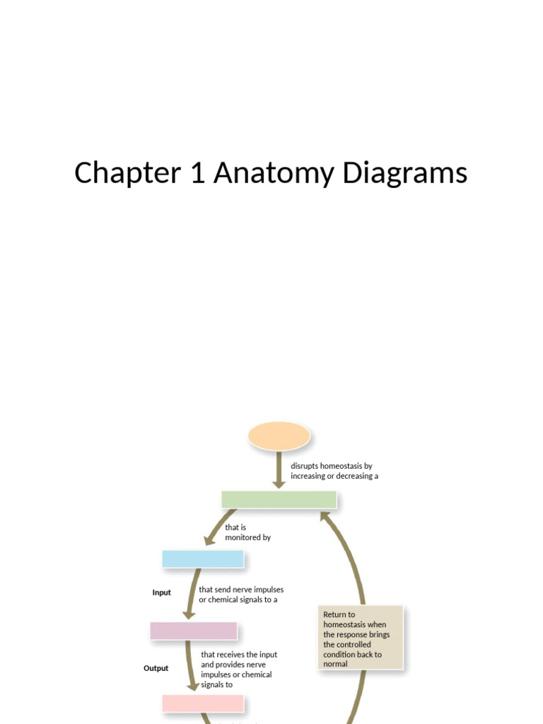 ANPH Chapter 1 Anatomy (Fillinblank) | PDF | Human Body | Anatomy