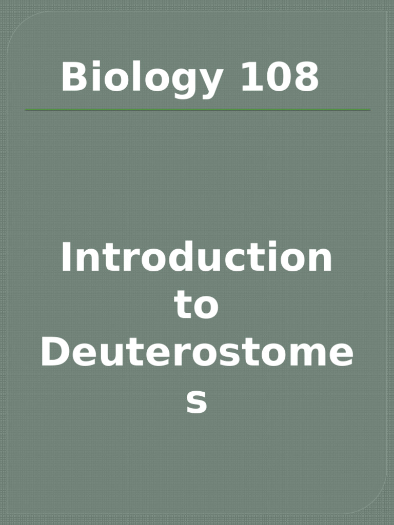 BIOLOGY 108, LAB 10 Deuterostomes 2021 | PDF | Skeleton | Vertebra
