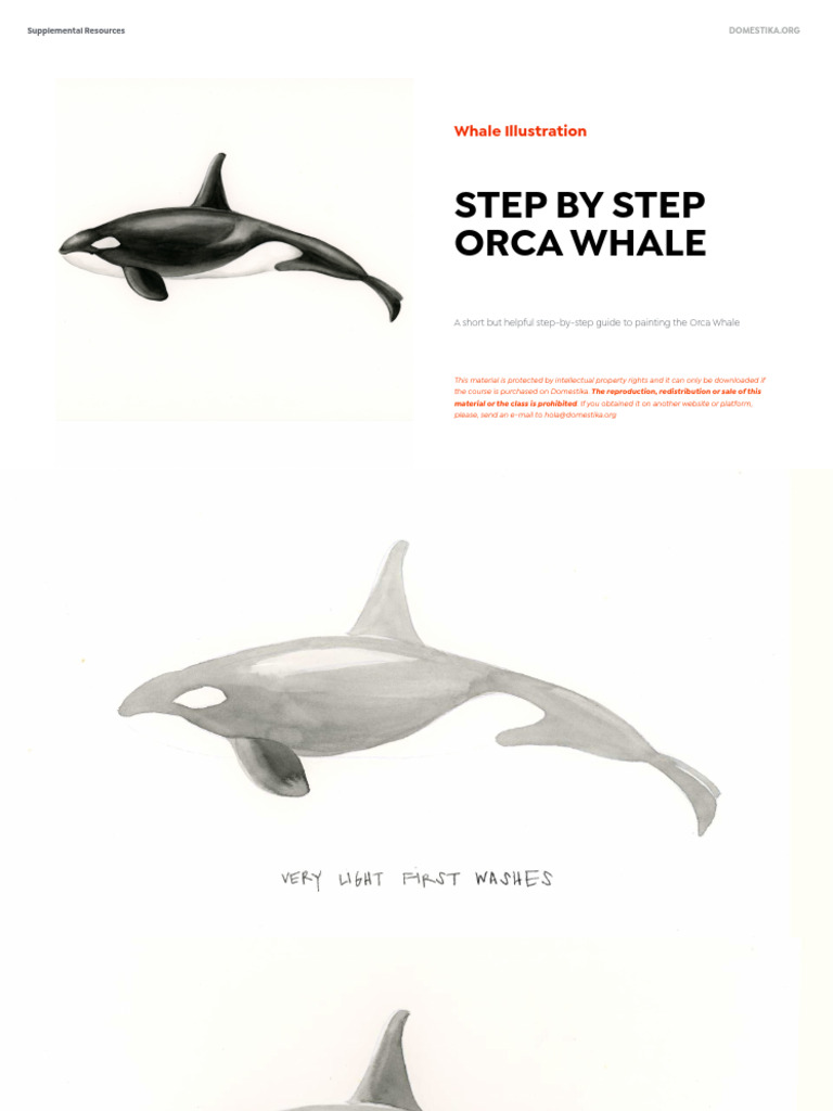 Orca Step by Step | PDF