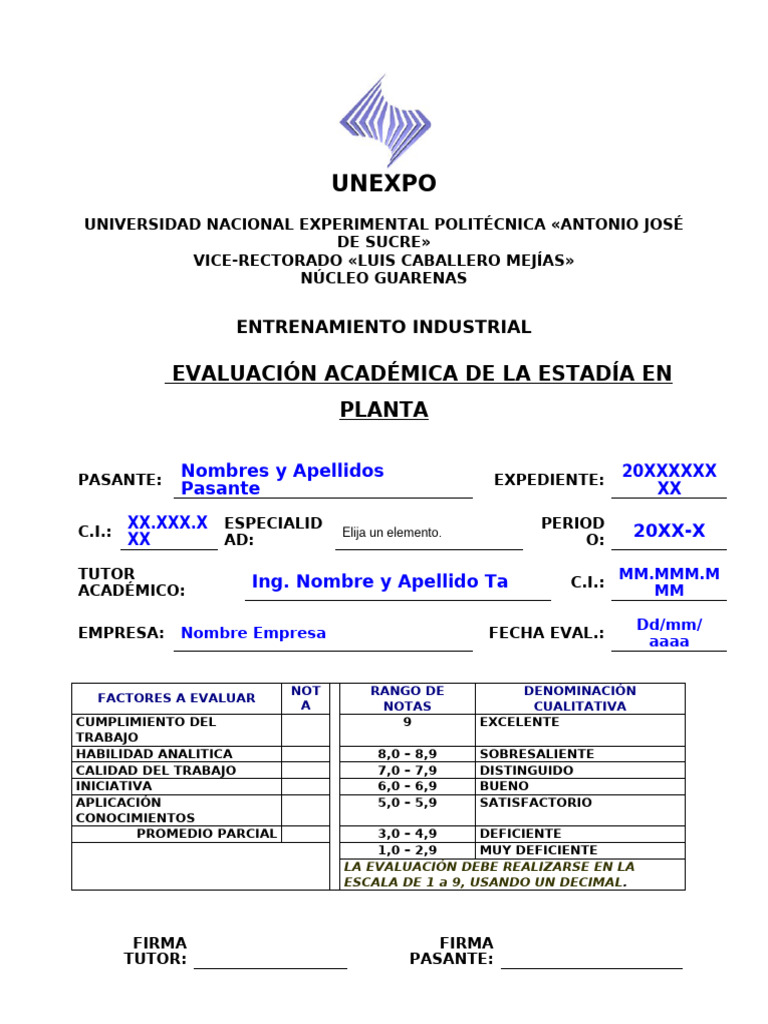 Evaluacion Tutor Acad | PDF