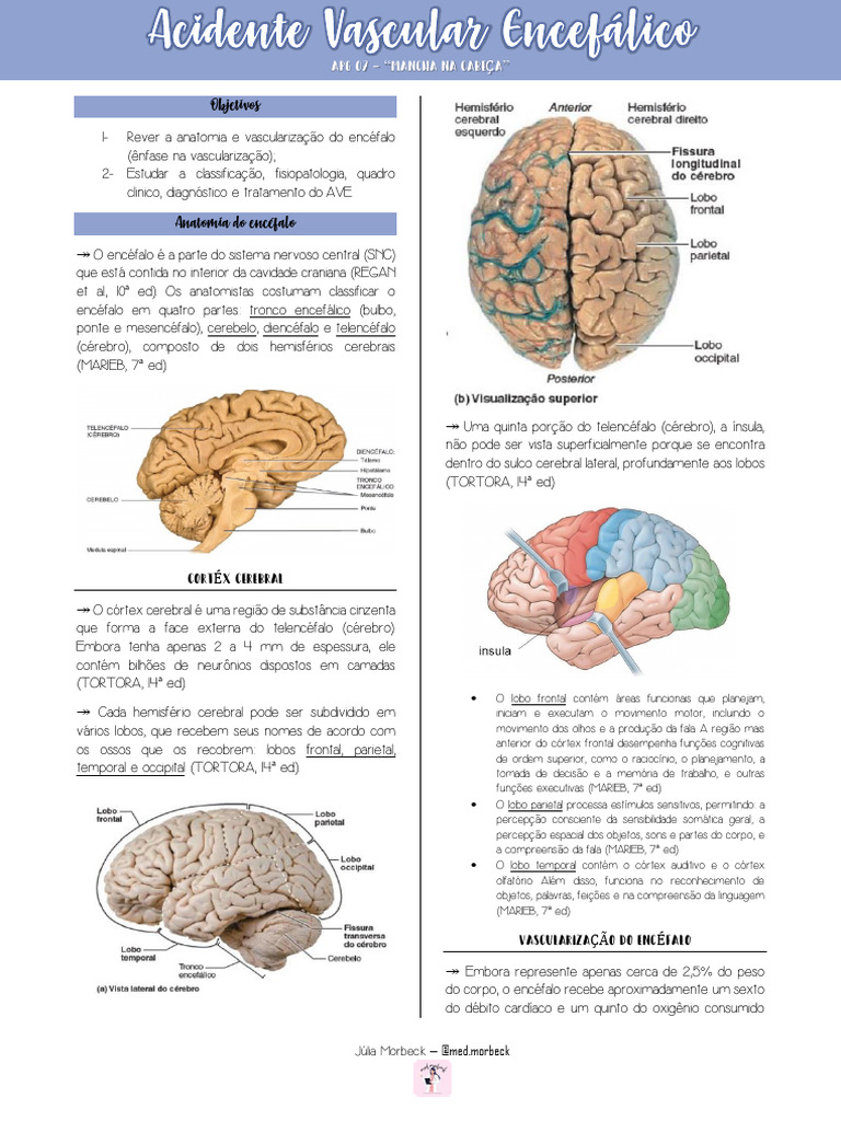 Acidente Vascular Cerebral | PDF | AVC | Cérebro