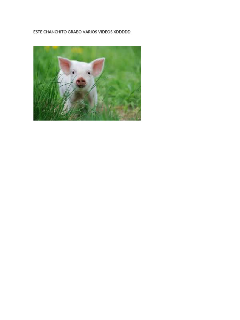 CHANCHITO DE BABE DEEEE | PDF