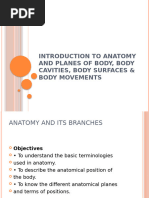 Topographic Anatomy Overview | PDF | Anatomical Terms Of Motion ...