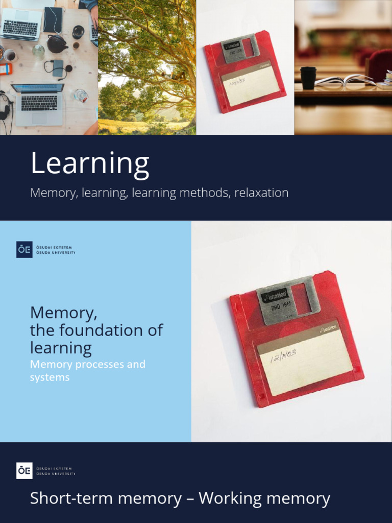 Learning Methodology Lecture 4. | PDF | Memory | Working Memory