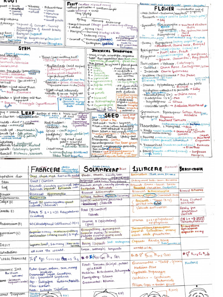 Complete Morphology - Astha Singh PDF | PDF