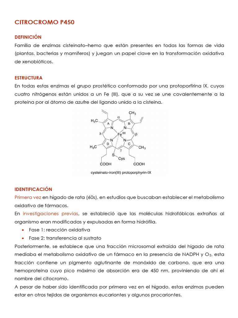 Citrocromo P450: Definición | PDF | Citocromo P450 | Enzima