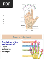 Kaplan's Cardinal Line in Hand Anatomy | PDF | Hand | Finger