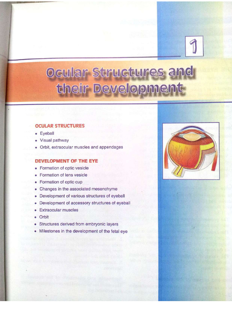 Anatomy and Physiology of The Eye Khurana | PDF