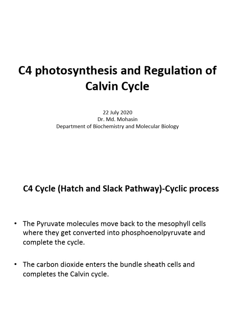 C4 Pathway - Regulation of Calvin Cycle | PDF | Photosynthesis | Photochemistry