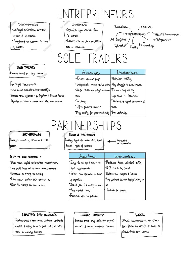 Sole Traders, Partnerships, Social Enterprise, & Franchises | PDF
