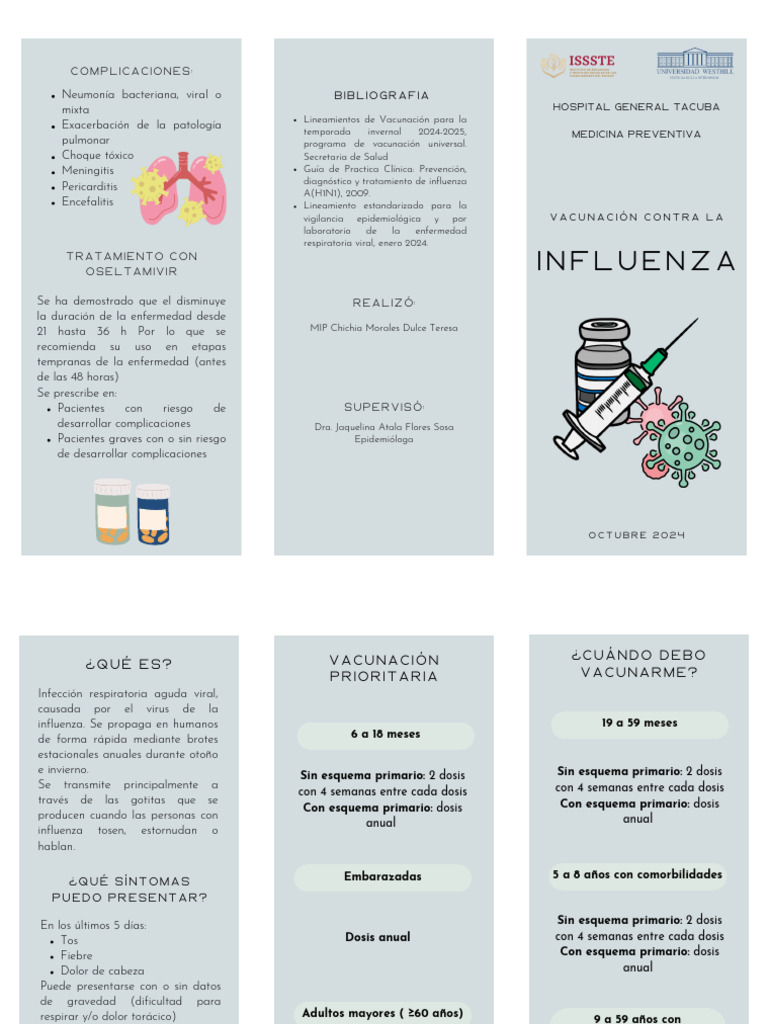 Influenza Triptico | PDF | Influenza | Causas de la muerte