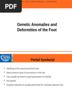 Pes Cavus and Pes Planus Overview | PDF | Foot | Musculoskeletal System