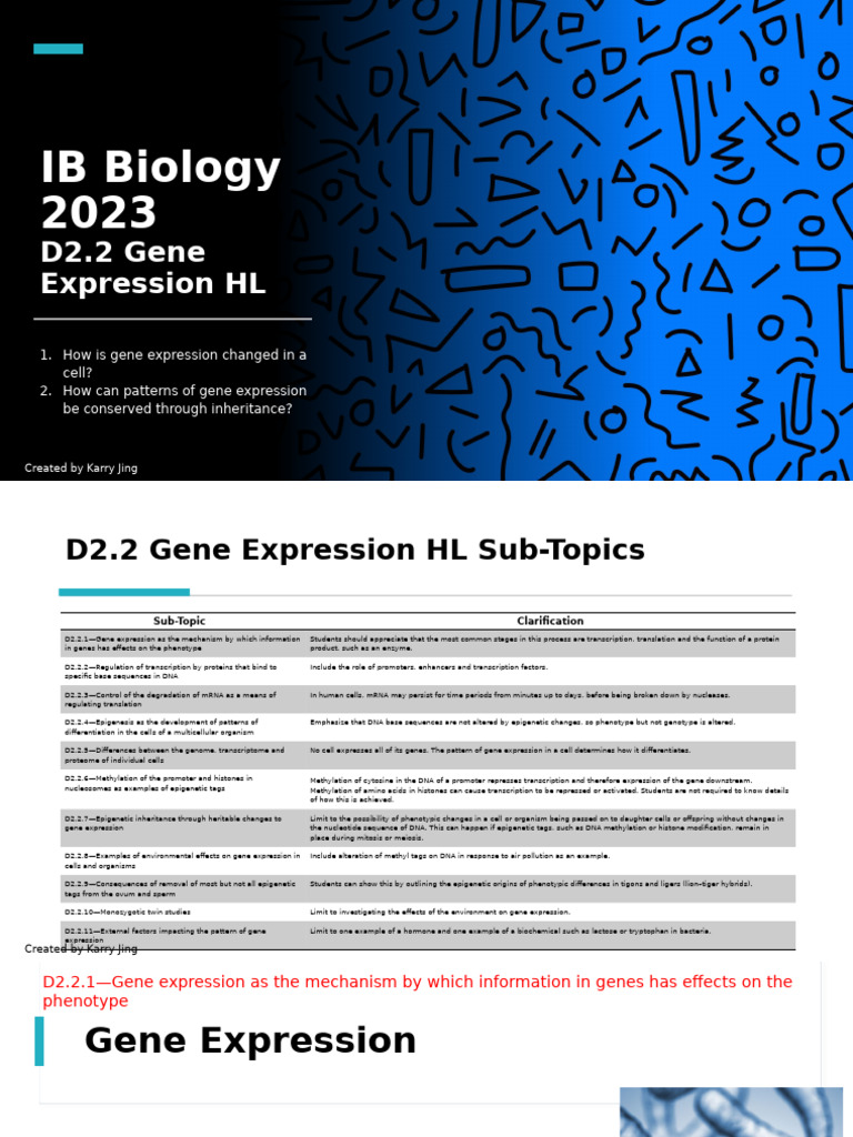 D2.2 Gene Expression HL | PDF | Epigenetics | Operon